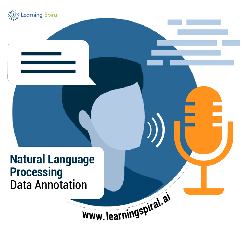 NLP Data Annotation: Key Insights You Should Know