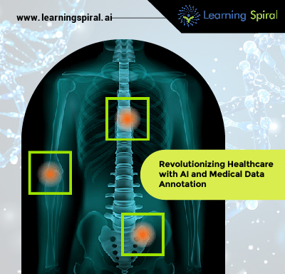 AI-Powered Medical Data Annotation for Healthcare 4o
